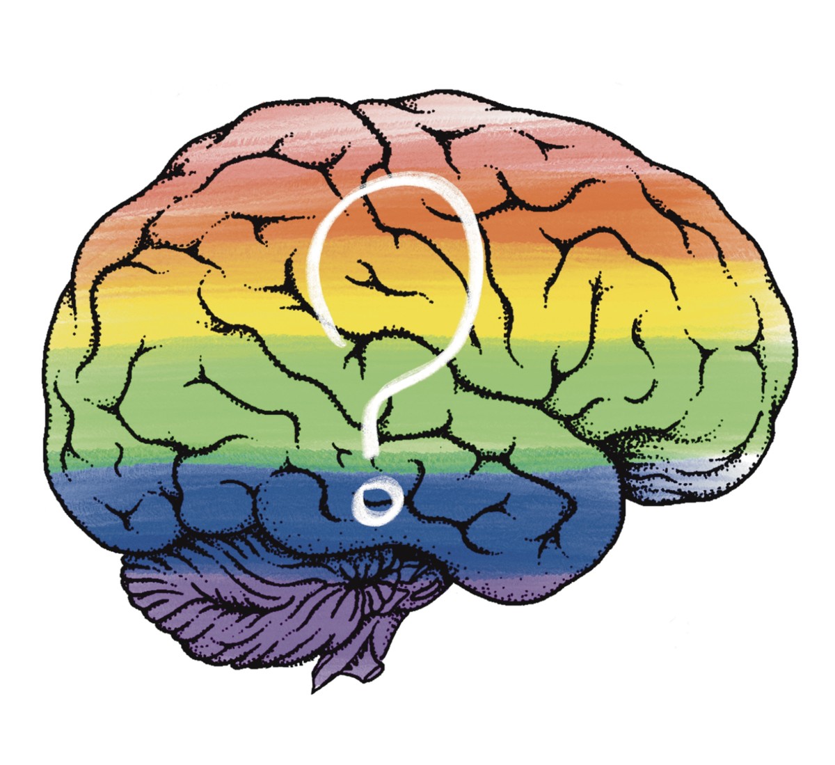 Ba al du garunak sexu-orientaziorik? - Elhuyar Aldizkaria