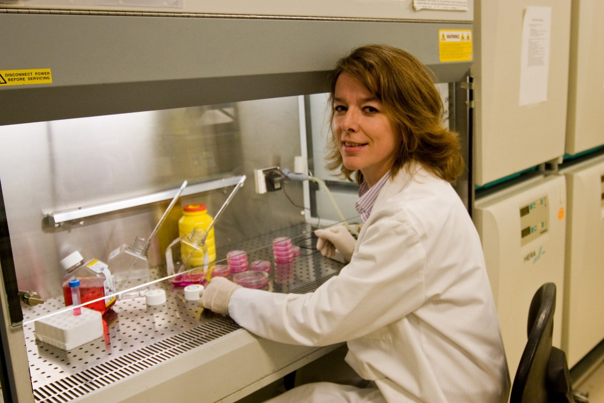 Bularreko minbizian, erresistentziaren giltza SOX2 proteina dela argitu ...