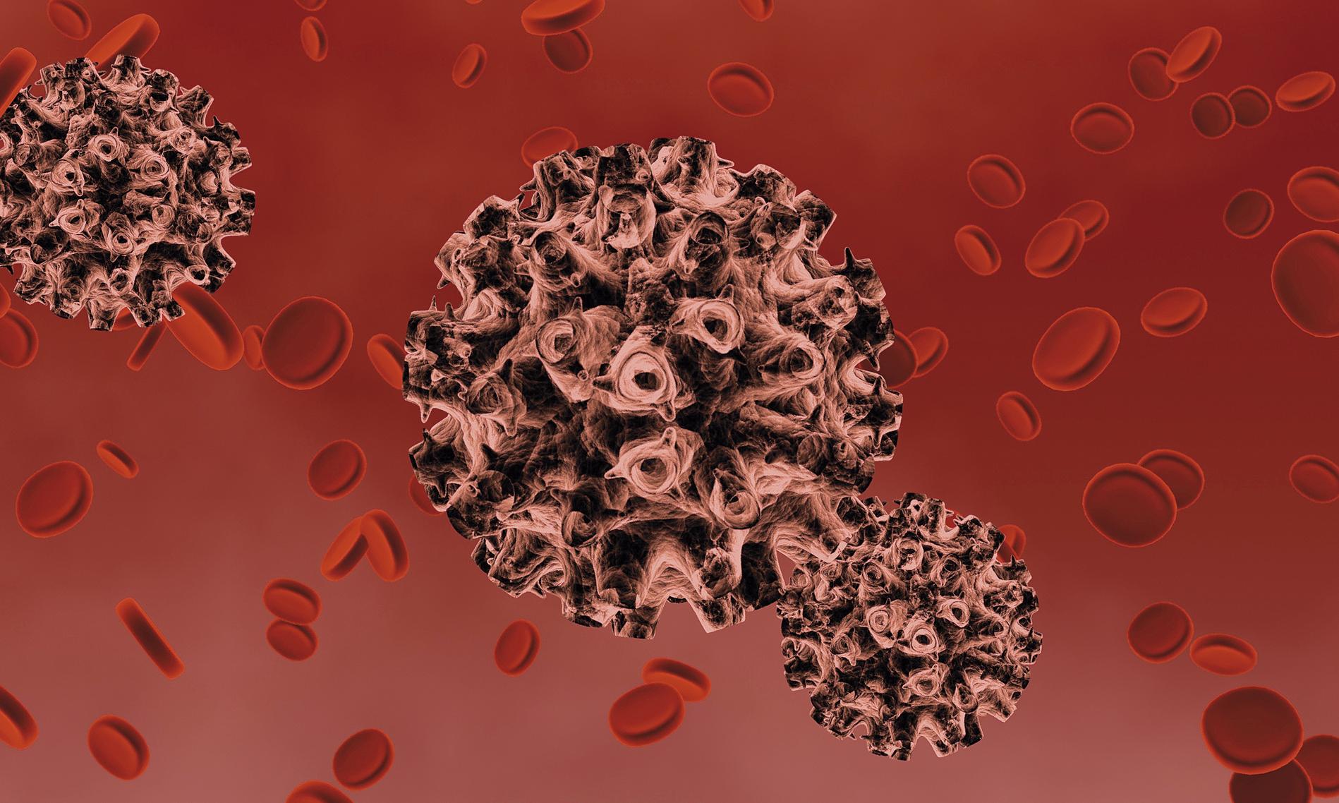 A gripearen birus-mota guztiei eragiten dien antigorputz bat aurkitu ...